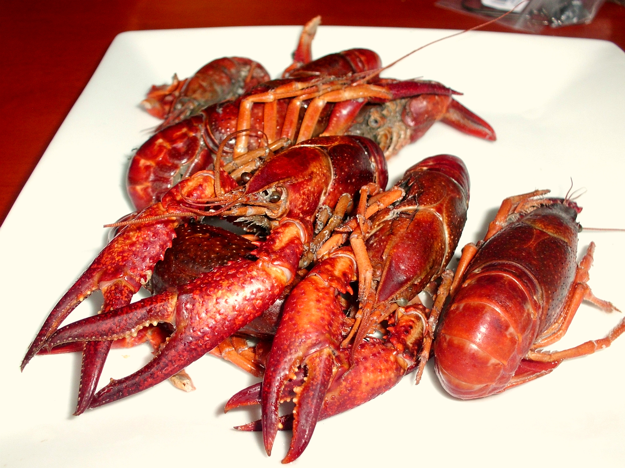 El Fogón de Leña: Acocil.