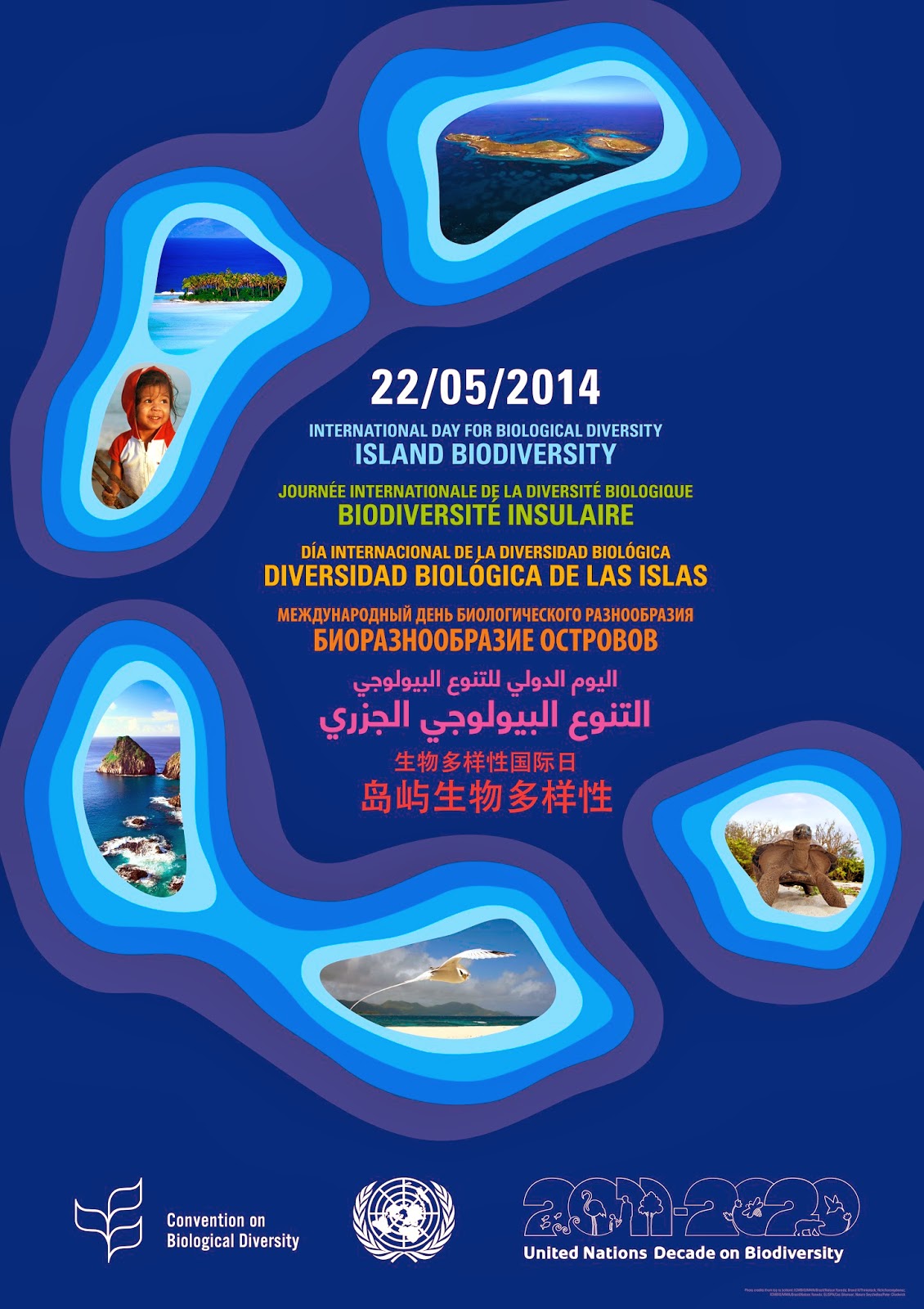 el blog de la lincesa