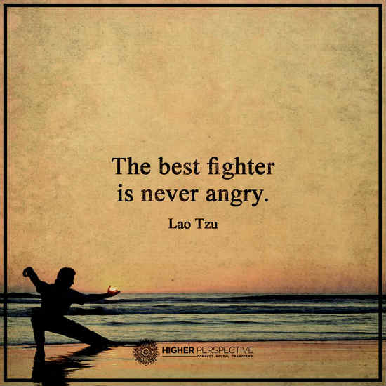 The best fighter is never angry. - 101 QUOTES