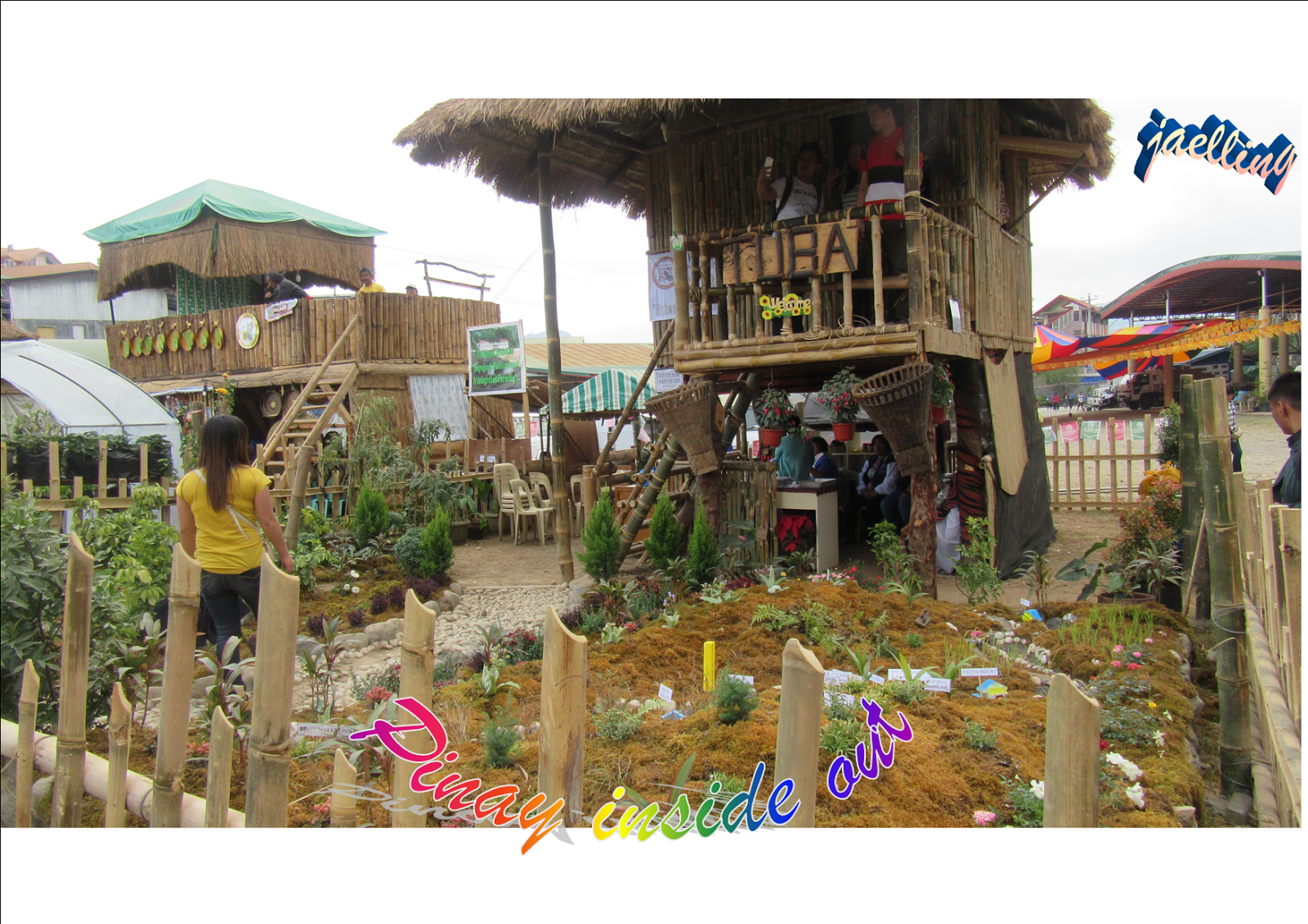 Booth of Tuba, Benguet - Adivay 2015