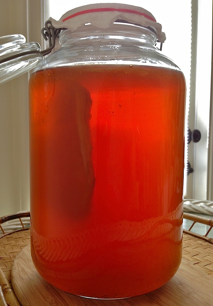 JULES FOOD...: Kombucha brewed with Homemade Mother Scoby and 2nd ...