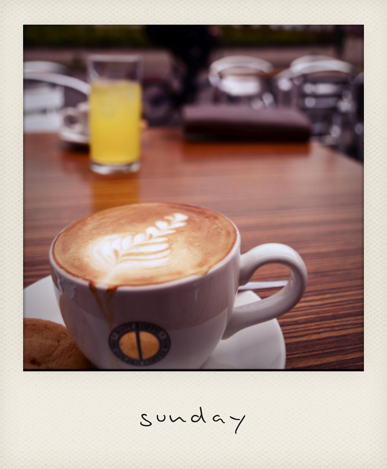 Aesthetic Fauna: Sunday snippets: the week, in retrospect