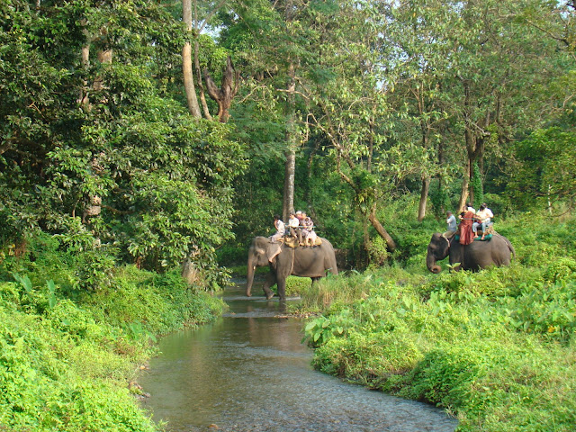 4 BEST WILDLIFE SANCTUARIES IN GOA | RentMyBike - Bike Rental in Goa