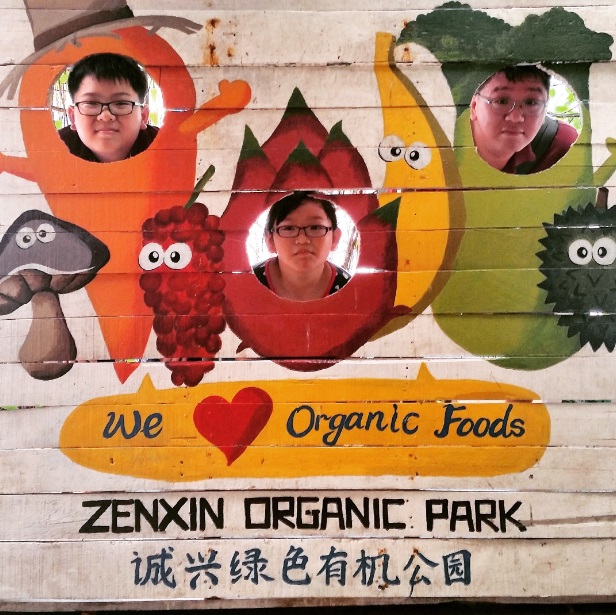 Organic Meals @ Zenxin Organic Park Chef Garden Restaurant ...