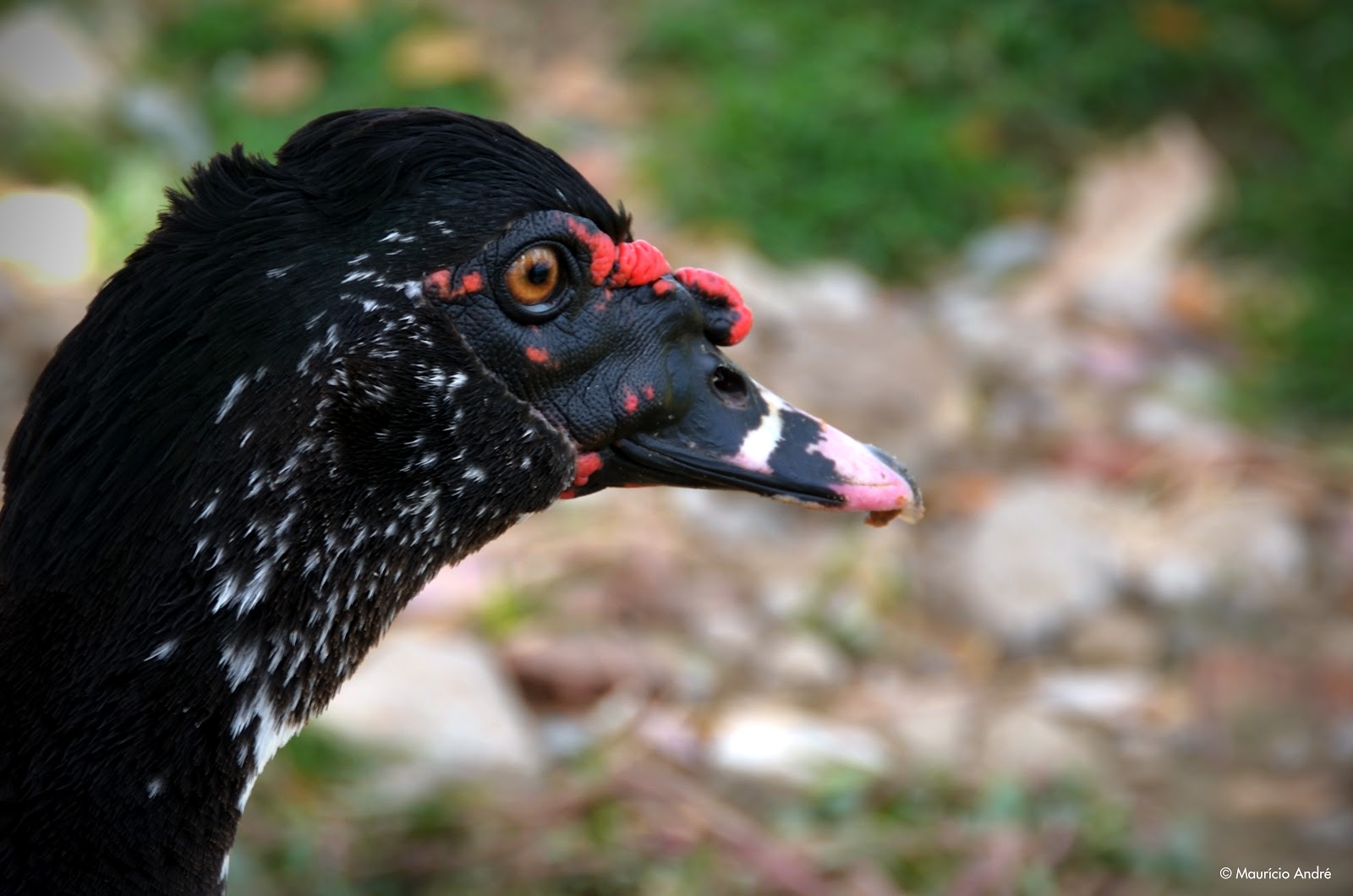 Projeto365fotododia: 05/01/12