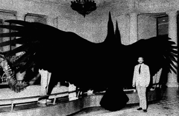 PANGEA: Argentavis Magnifices