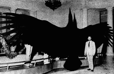 PANGEA: Argentavis Magnifices