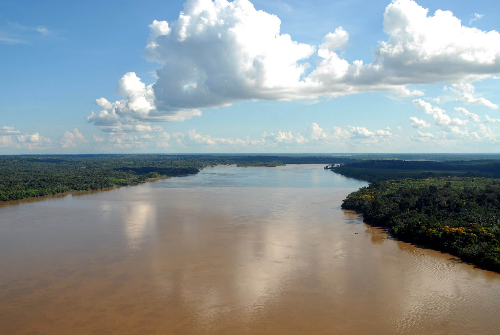 Library Wallpapers: Beautiful Pará River-Brazil