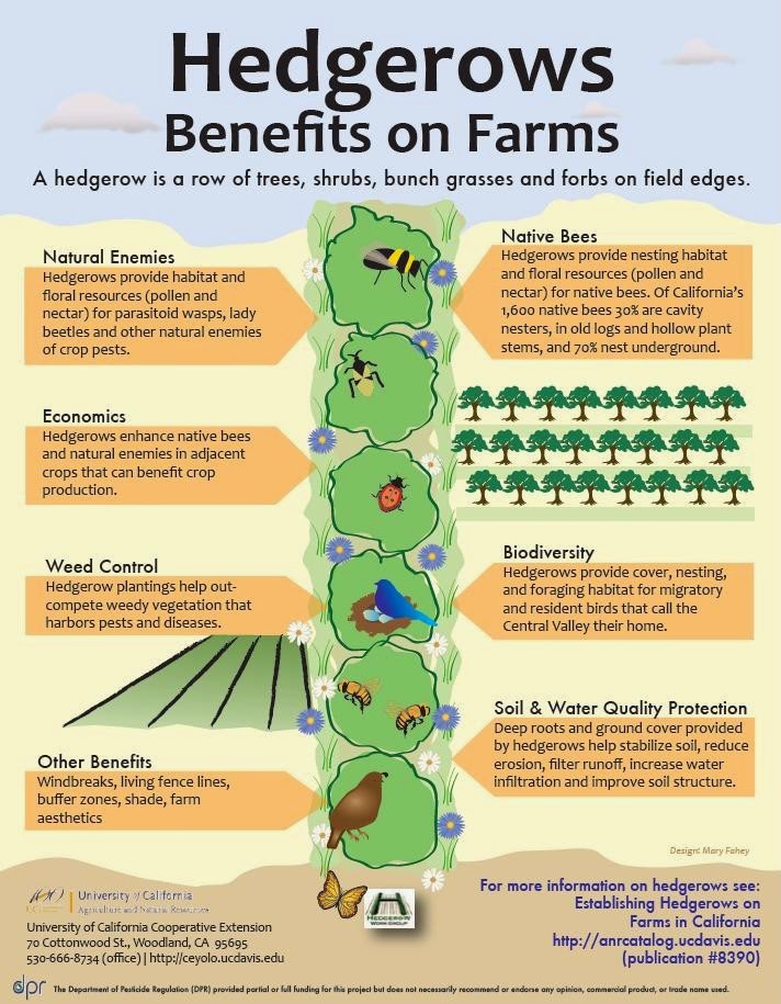 osage + orange: Hedgerow Infographic....