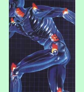 Main Causes of Bone Pain | Daily Health Tips and Solutions