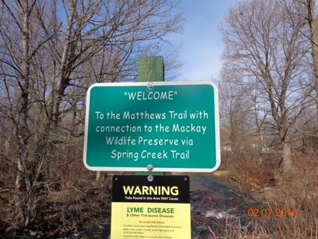 Caledonia Spring Creek