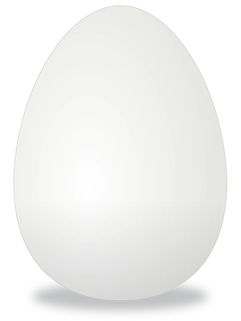 Ovo em png