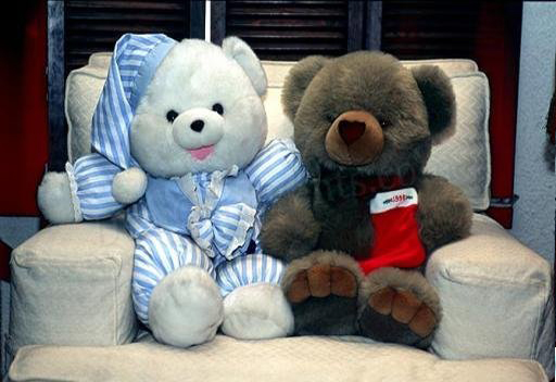 Lovely Cute Teddy Bears Pictures | Awesome Profile Pictures