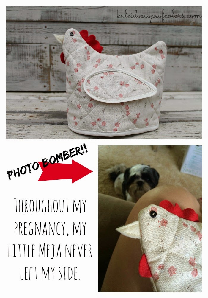 Kaleidoscope of Colors: Chicken Sewing Crafts