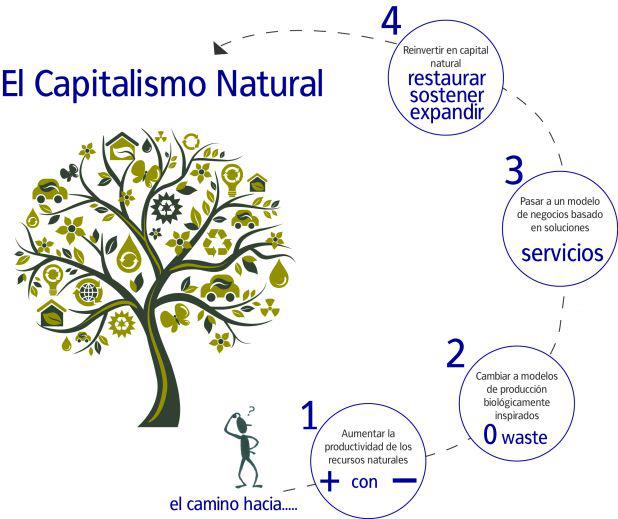 ECOSISTEMAS: ¿Qué es el capitalismo natural?