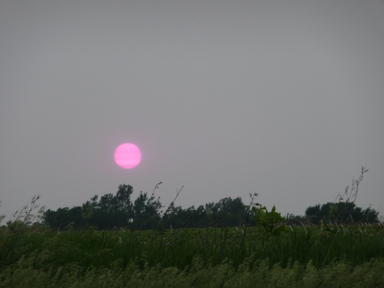 A little something eeeeekstra: Pink Sun Planet