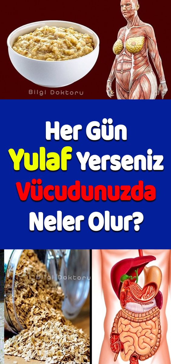 Yulaf Nedir, Yulaf Ezmesi Faydaları Nelerdir? - Organik Günler