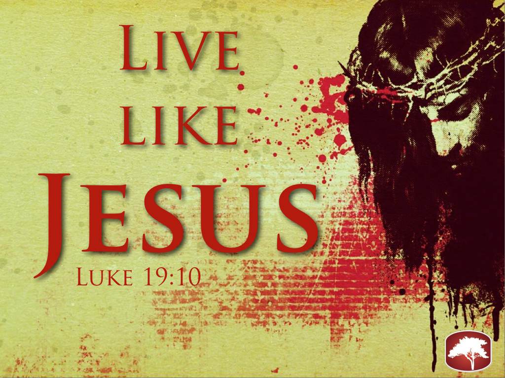 The New Life Blogger