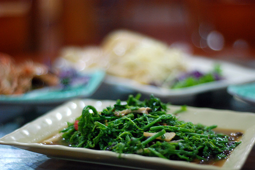 vegetables-k: Diplazium esculentum (Vegetable Fern) Edible ferns in ...