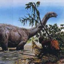 The hunt for Mokele-mbembe: Congo's Loch Ness Monster