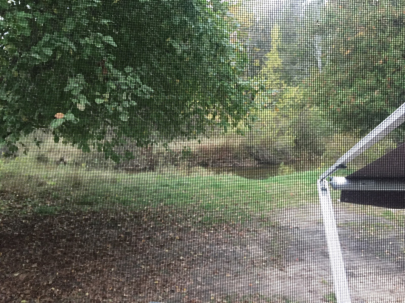 Travel Reviews & Information: Luther, Michigan / Silver Creek State ...