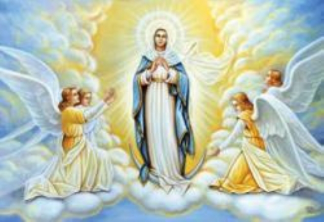 Viver em Deus: Maria assunta ao Céu: a 10ª Estrela da Corôa de Maria