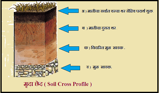 शोध … : मी मातीतला ……(भाग - २)