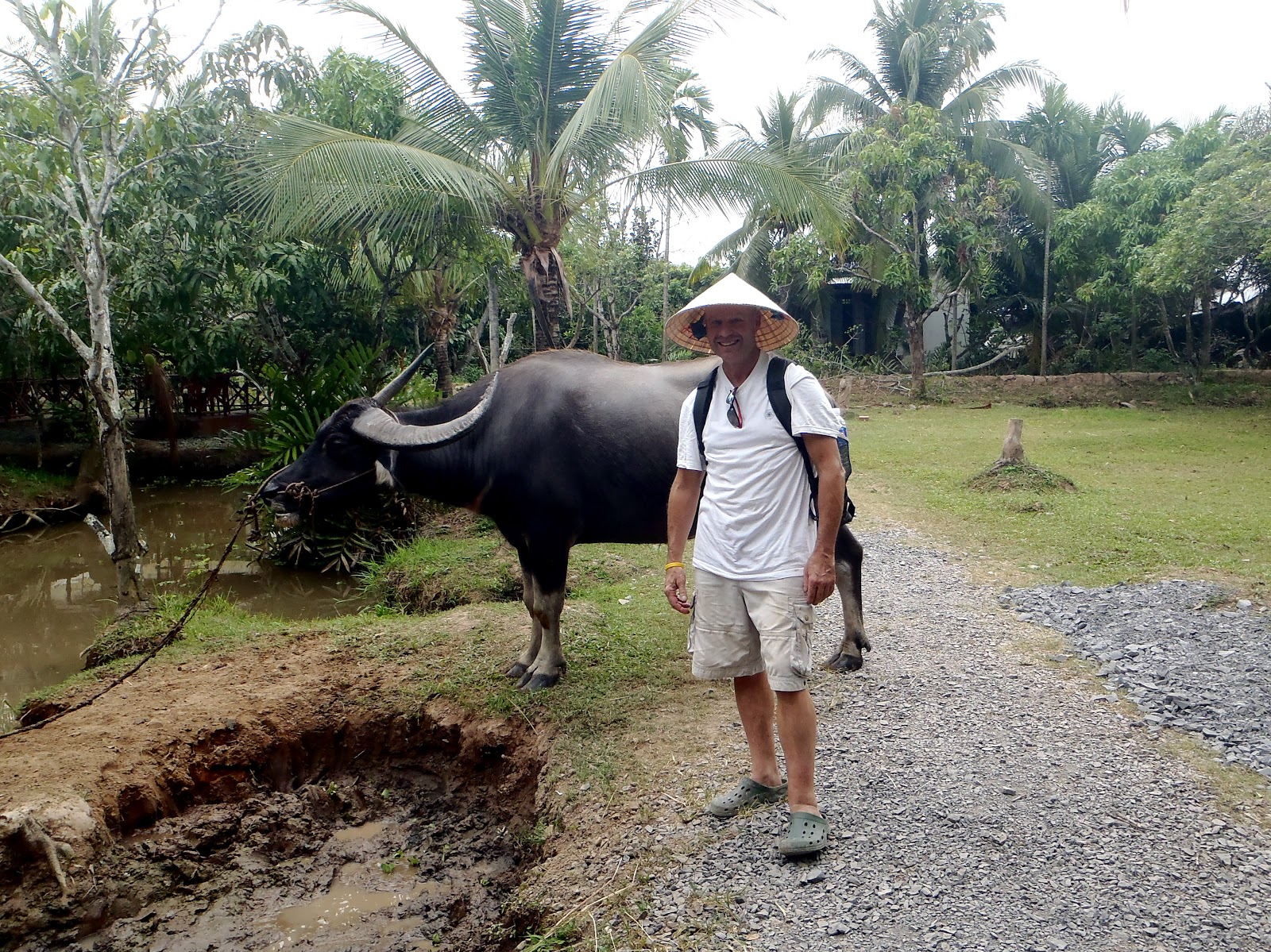Vietnam by Tiger Cam: Water Buffalo (and other domestic animals)