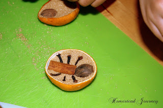 Rare Breed Farms: 5 Days of Homemade Christmas Gifts: Cider Beetles