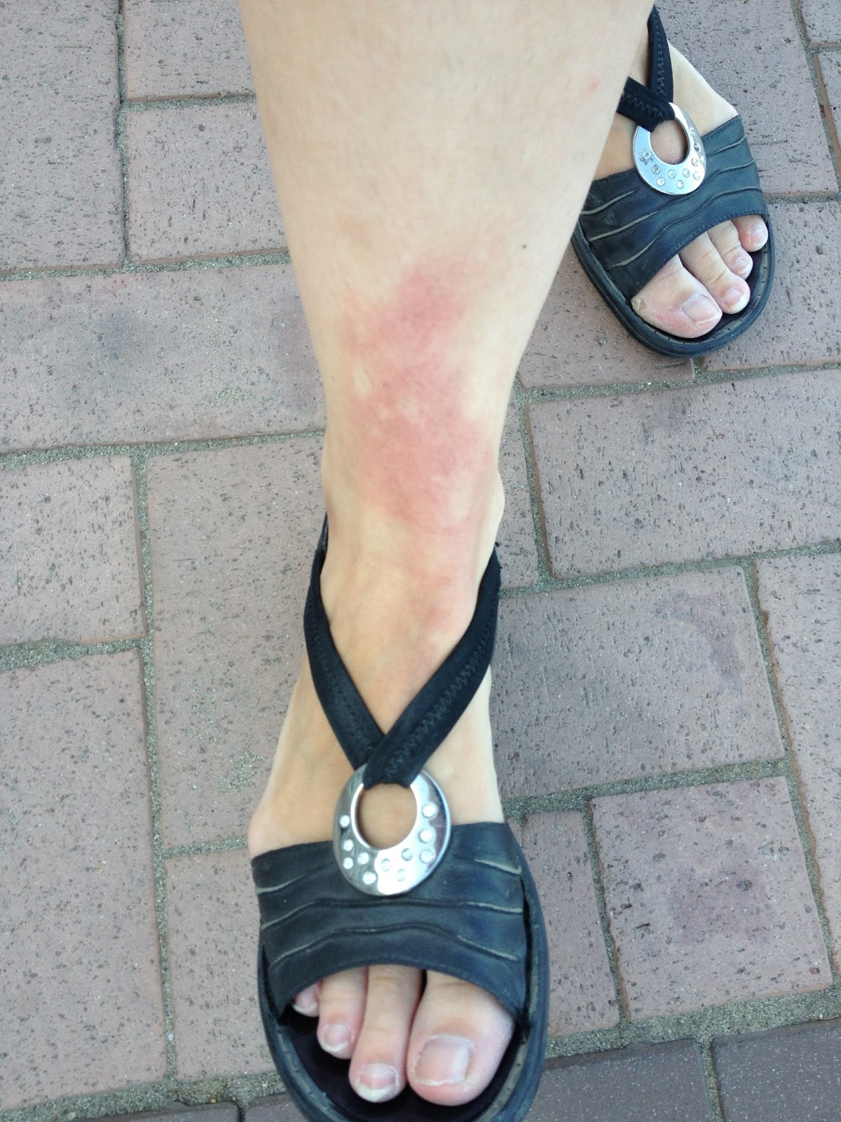 Koska sydän sanoo niin: Kuoliohan se