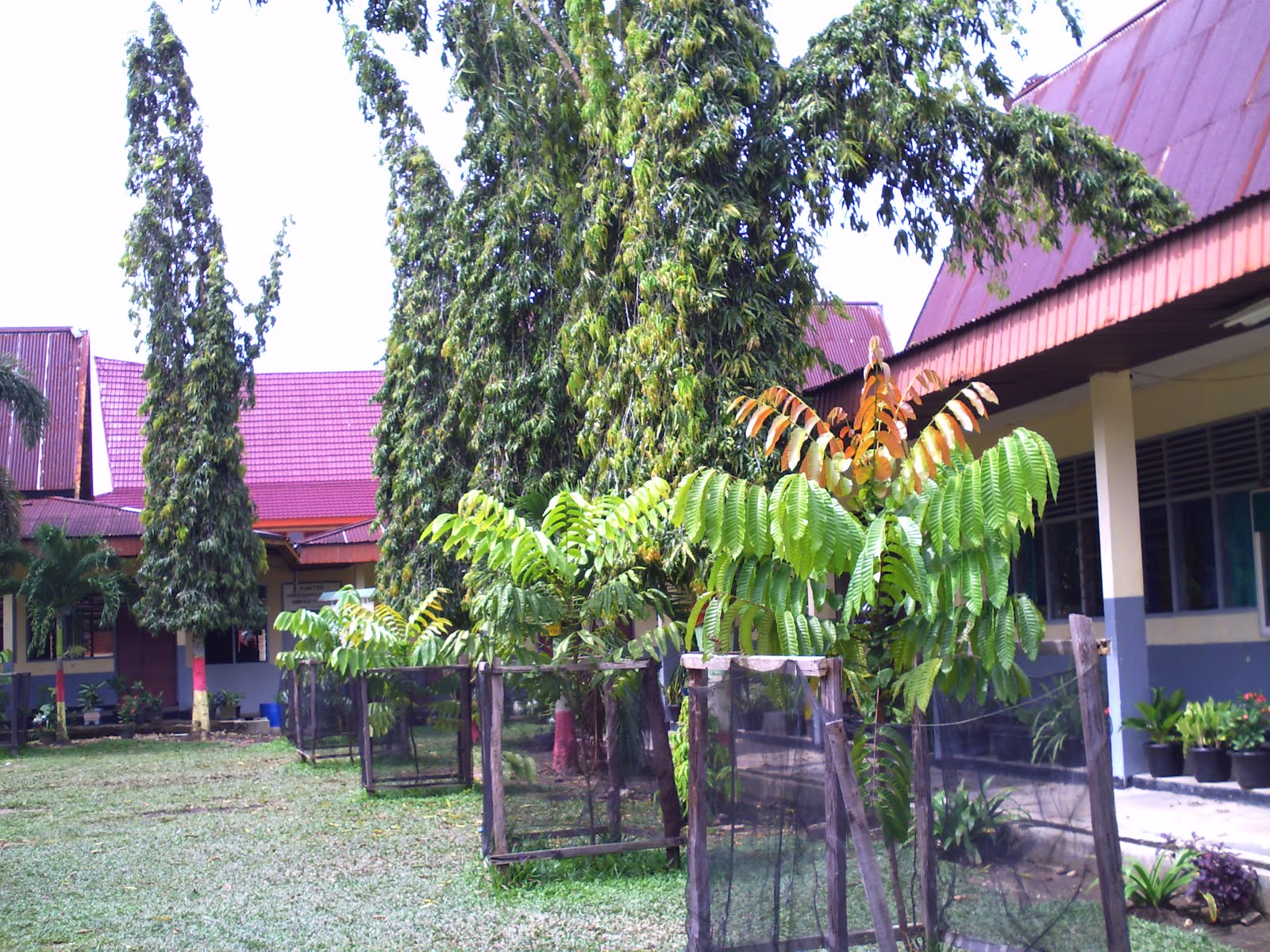 SMK N 2 TELUK KUANTAN (KUANTAN SINGINGI REGENCY, RIAU PROVINCE, INDONESIA)