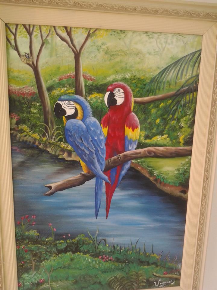 VAGNER COSTA: TELA ARARAS