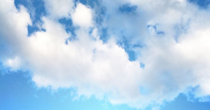 San pedro powder (Echinopsis pachanoi) and dried peruvian torch ...