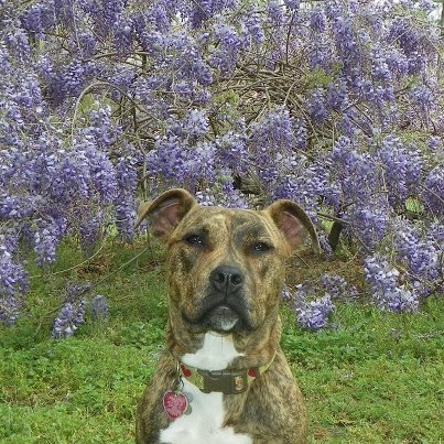 The World According to Garth Riley: Blogville Pitty Post Day: Meet My ...