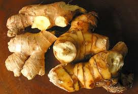 In en om die huis: GEMMER