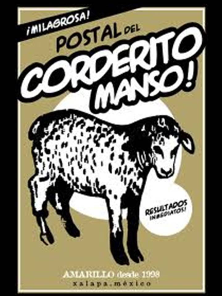 ORACIONES Y CONJUROS: ORACION DEL CORDERITO MANSO PARA VENCER ENEMIGOS ...