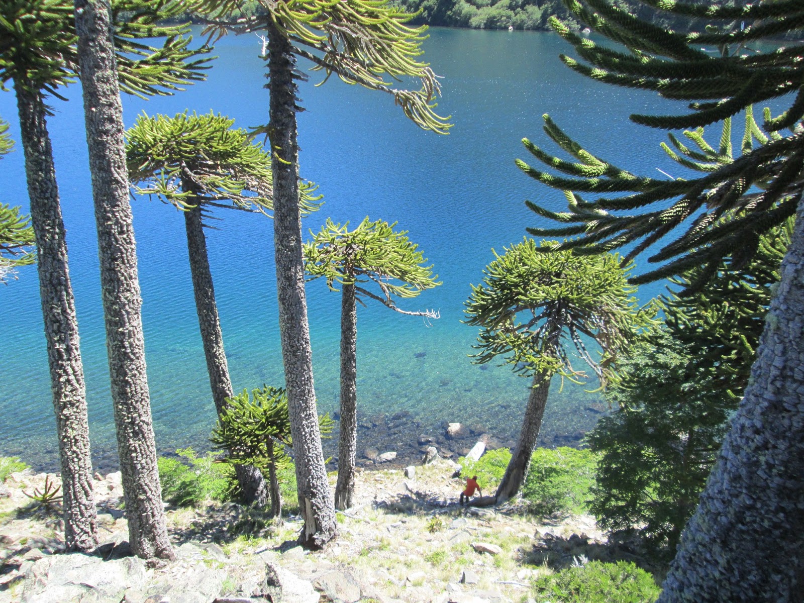 Deportes Extremos Ralco: Lugares turísticos Alto Bio Bio
