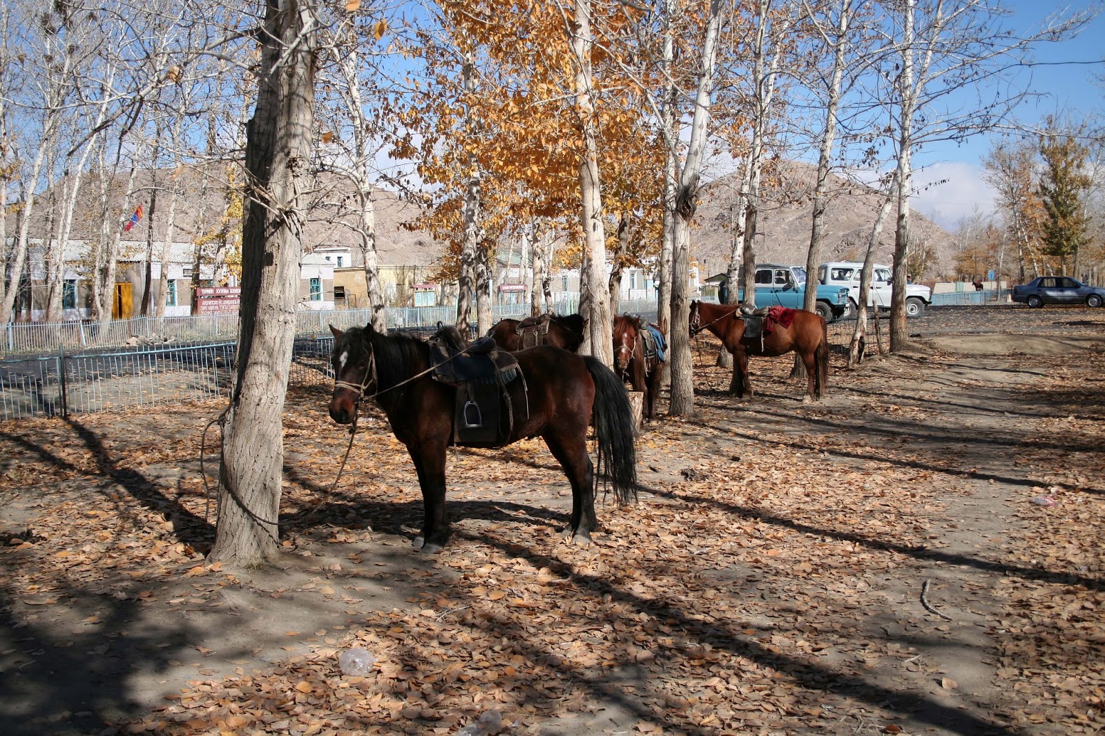 MONGOLS CHINA AND THE SILK ROAD : The Beauty of Mongolia