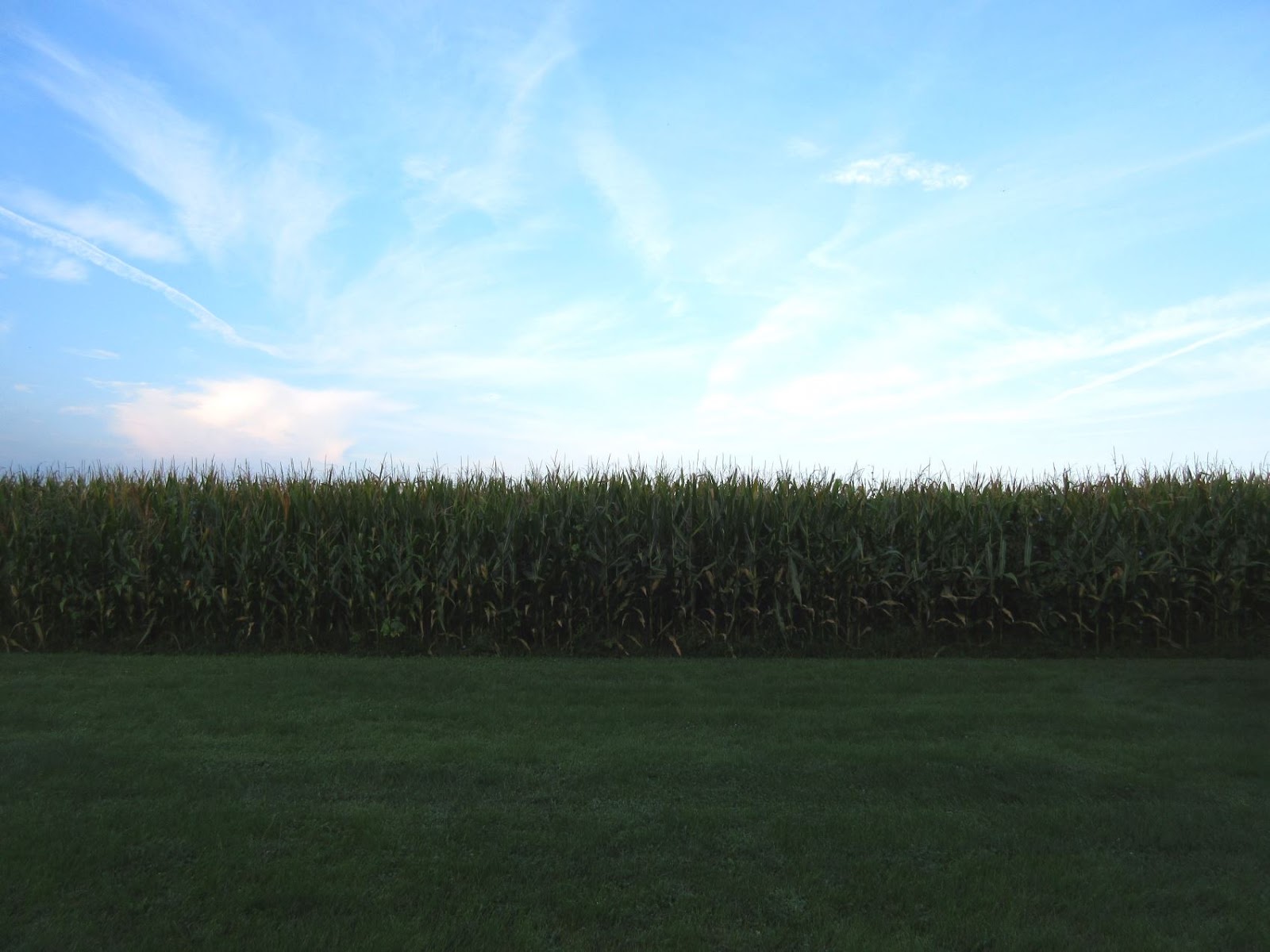 Three Things Very Dull Indeed