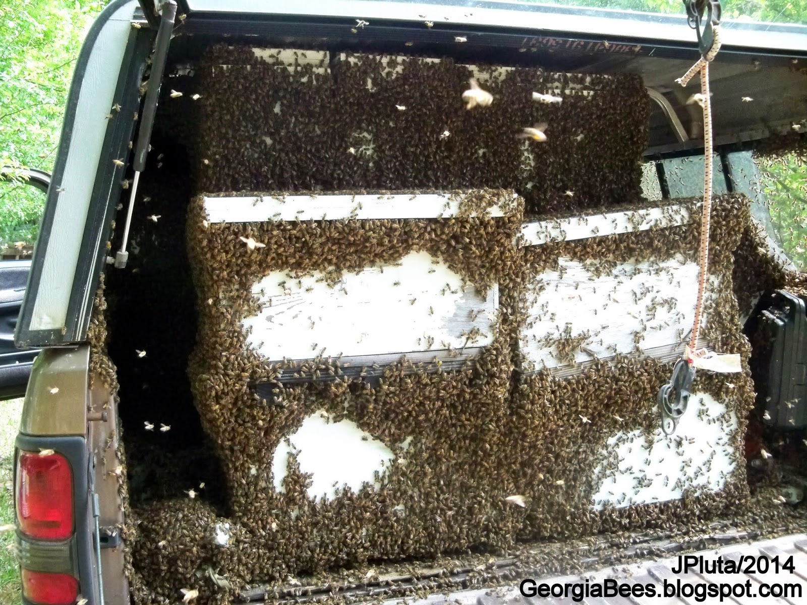 BEEKEEPING Beekeeper Honey Bees Pollen Wax Candle Propolis Queen Nuc ...