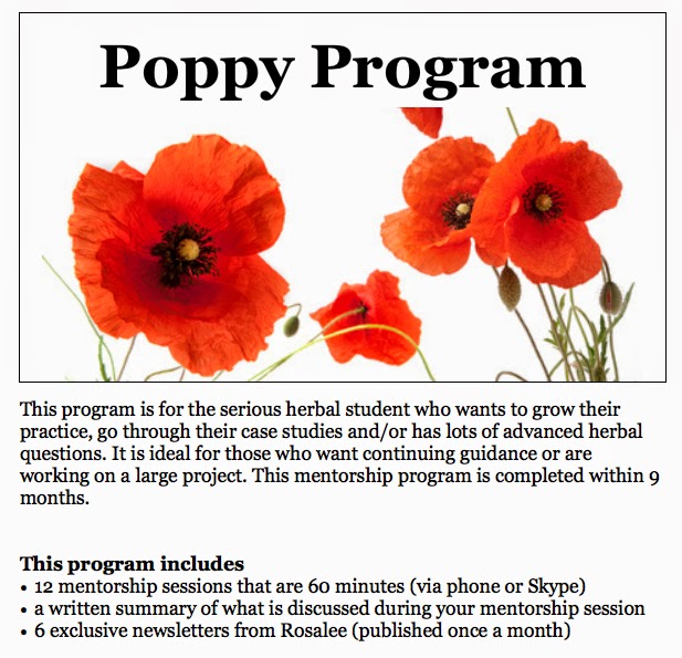 Rosalee's Mentorship Program: Choose Your Program