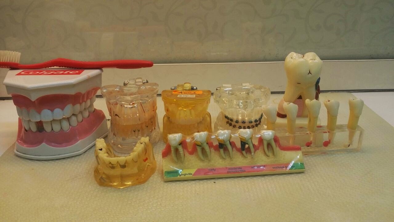 Klinik Pergigian An-Nur: Rawatan dan Perkhidmatan