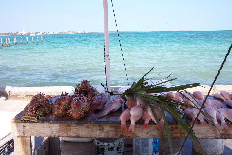 The Trawler Beach House: Funky Nassau