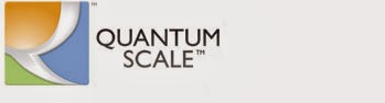 Quantum Scale - Michelles Comments