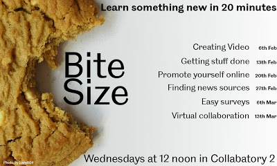 Librarians' Blog for Medicine, Dentistry and Health: Bite-Size Sessions ...