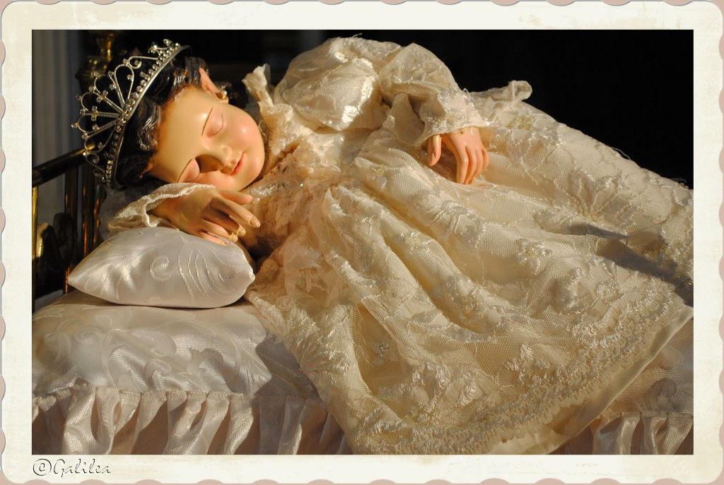 Santa María, Madre de Dios y Madre nuestra: Reina concebida sin pecado ...