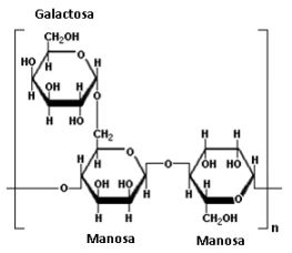 PLANTAS MEDICINALES - PRINCIPIOS ACTIVOS - HUERTA INEM