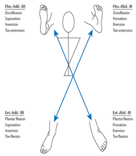 VALORACIÓN INICIAL: TERAPIA MANUAL DE KABAT