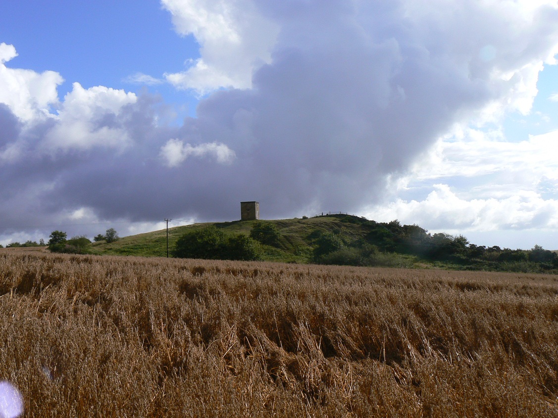 A Field Notebook: Billinge Hill
