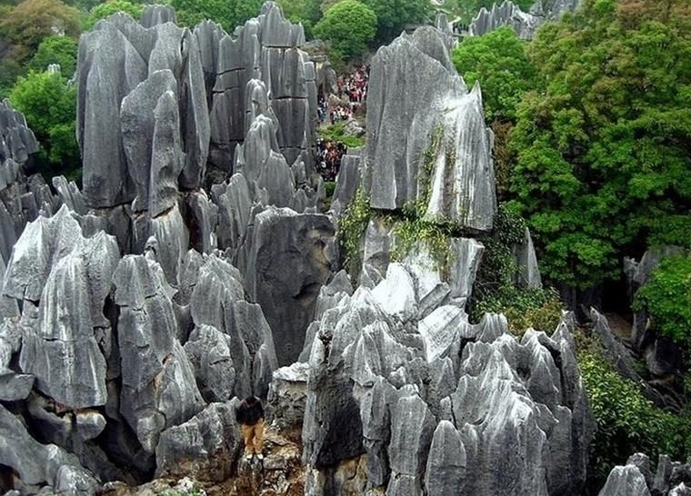 GENERAL BLOG: Amazing Stone Forest Nature Photography